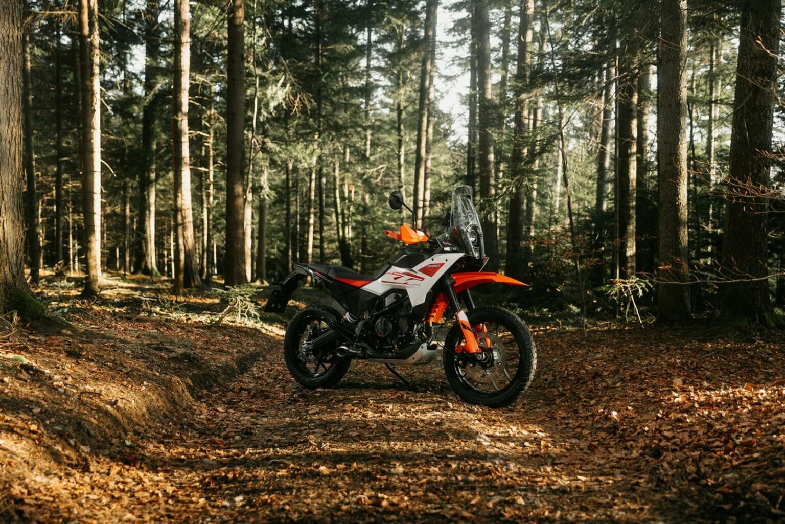KTM 390 Adventure R e X 2025: finalmente ci siamo - RED Live
